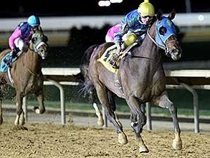 In the Fairway - Horse Profile - BloodHorse