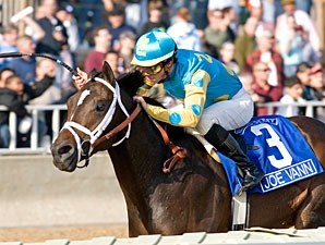 Joe Vann - Horse Profile - BloodHorse