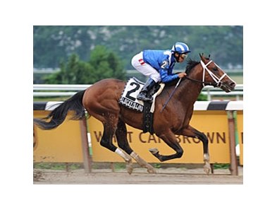 Lucky Island One to Beat in Forego - BloodHorse