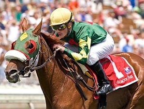 Pure Clan - Horse Profile - BloodHorse