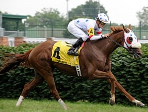 Pure Clan - Horse Profile - BloodHorse