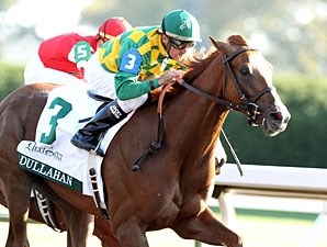 Dullahan - Horse Profile - BloodHorse
