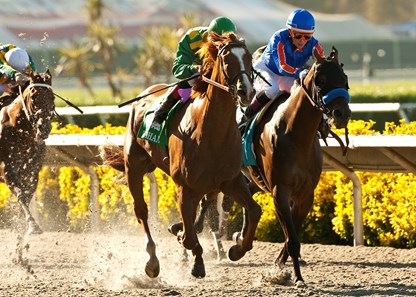 Dullahan - Horse Profile - BloodHorse