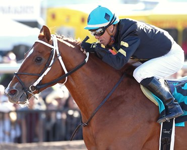 Hence - Horse Profile - BloodHorse