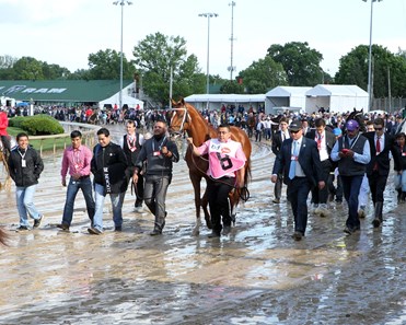 Hence - Horse Profile - BloodHorse