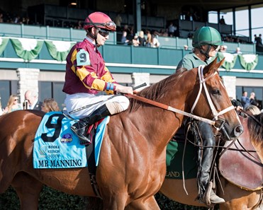 Mr Manning - Horse Profile - BloodHorse