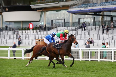 Nando Parrado (GB) - Horse Profile - BloodHorse