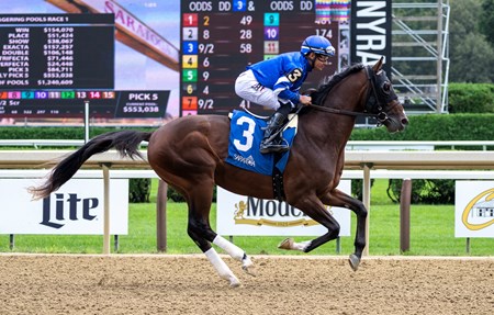 Hunt Ball - Horse Profile - BloodHorse
