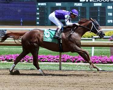 Surely Shirley - Horse Profile - BloodHorse